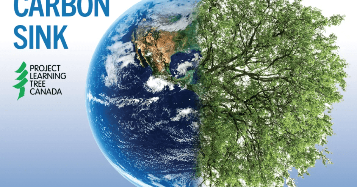 New Online Resources on Climate Change and Forests from Project Learning Tree Canada! | eePRO